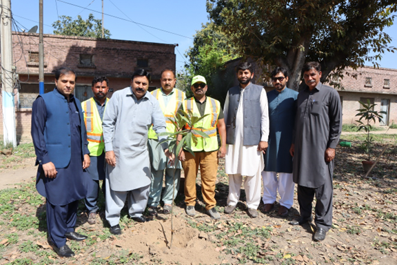 Inauguration of Spring Tree Plantation Campaign | Punjab Local Govt ...